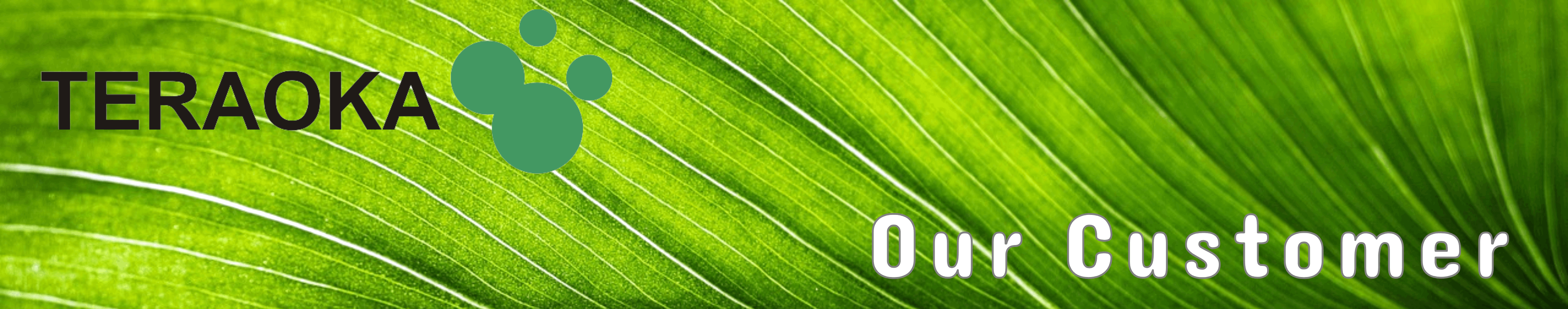 PT. Teraoka Seisakusho Indonesia